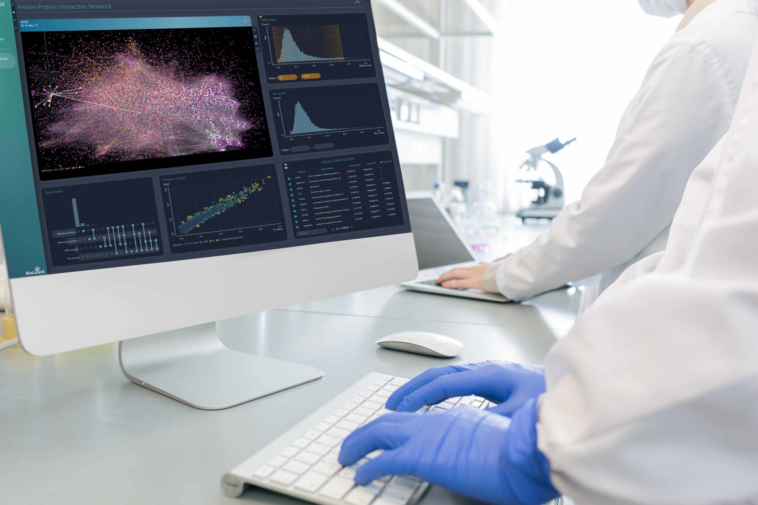 BioLizard Launches Bio|Verse® Navigator for Easy Exploration of Complex ...