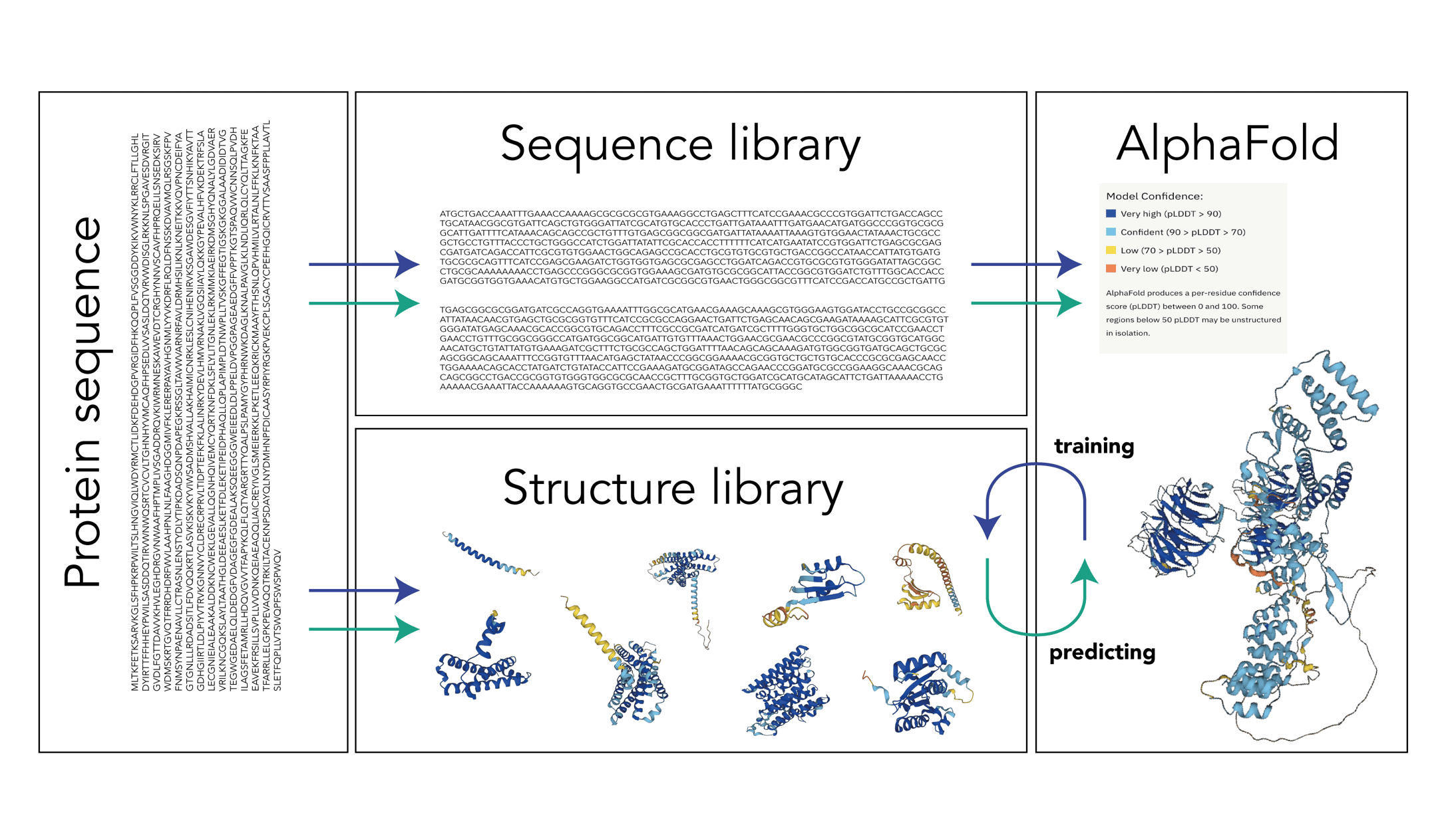 Ai Based Protein Structure Prediction At Biolizard
