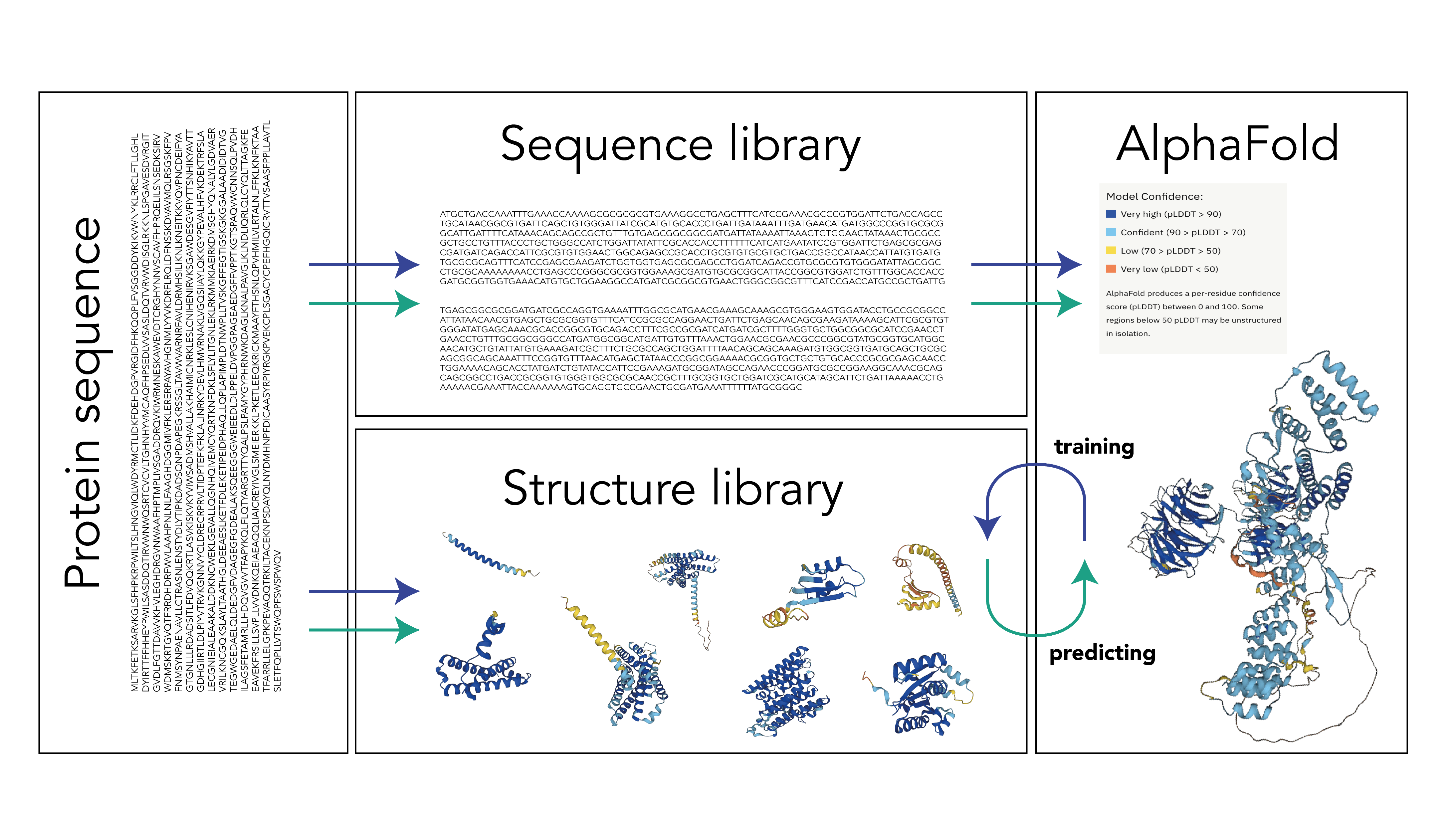 Ai Based Protein Structure Prediction At Biolizard